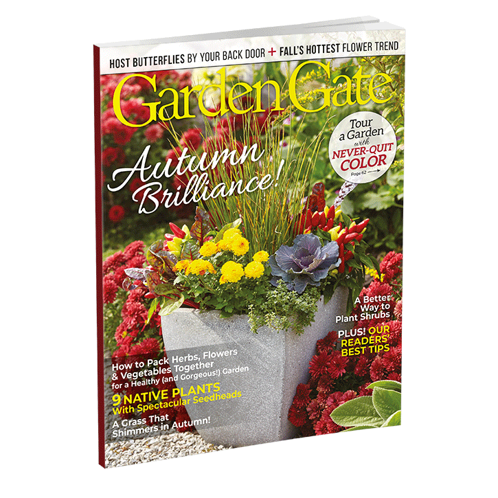 Garden Gate Magazine Single Issues