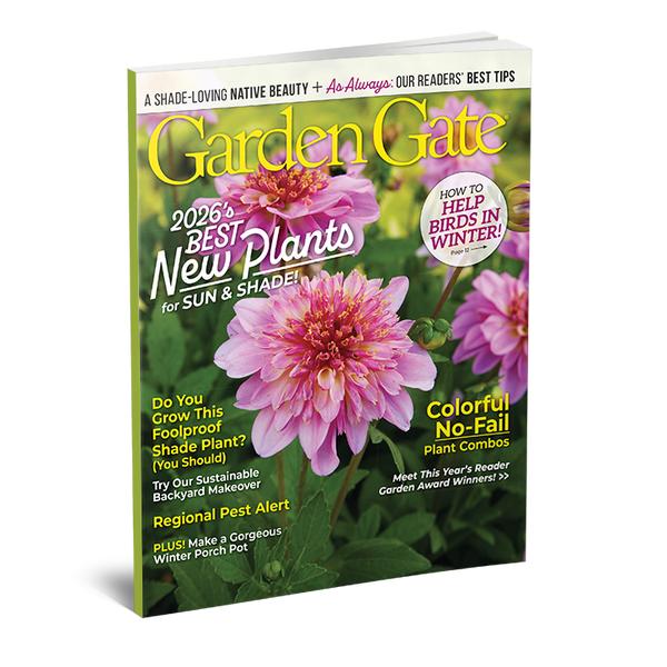 Garden Gate Magazine Single Issues
