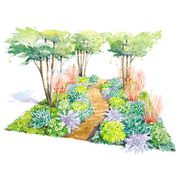 Spring Woodland Walk Garden Plan – Garden Gate