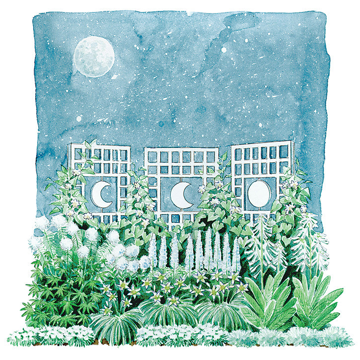 Moonlight Garden Plan – Garden Gate