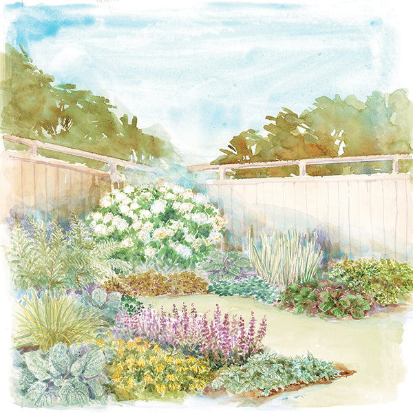 Backyard Border Garden Plan – Garden Gate